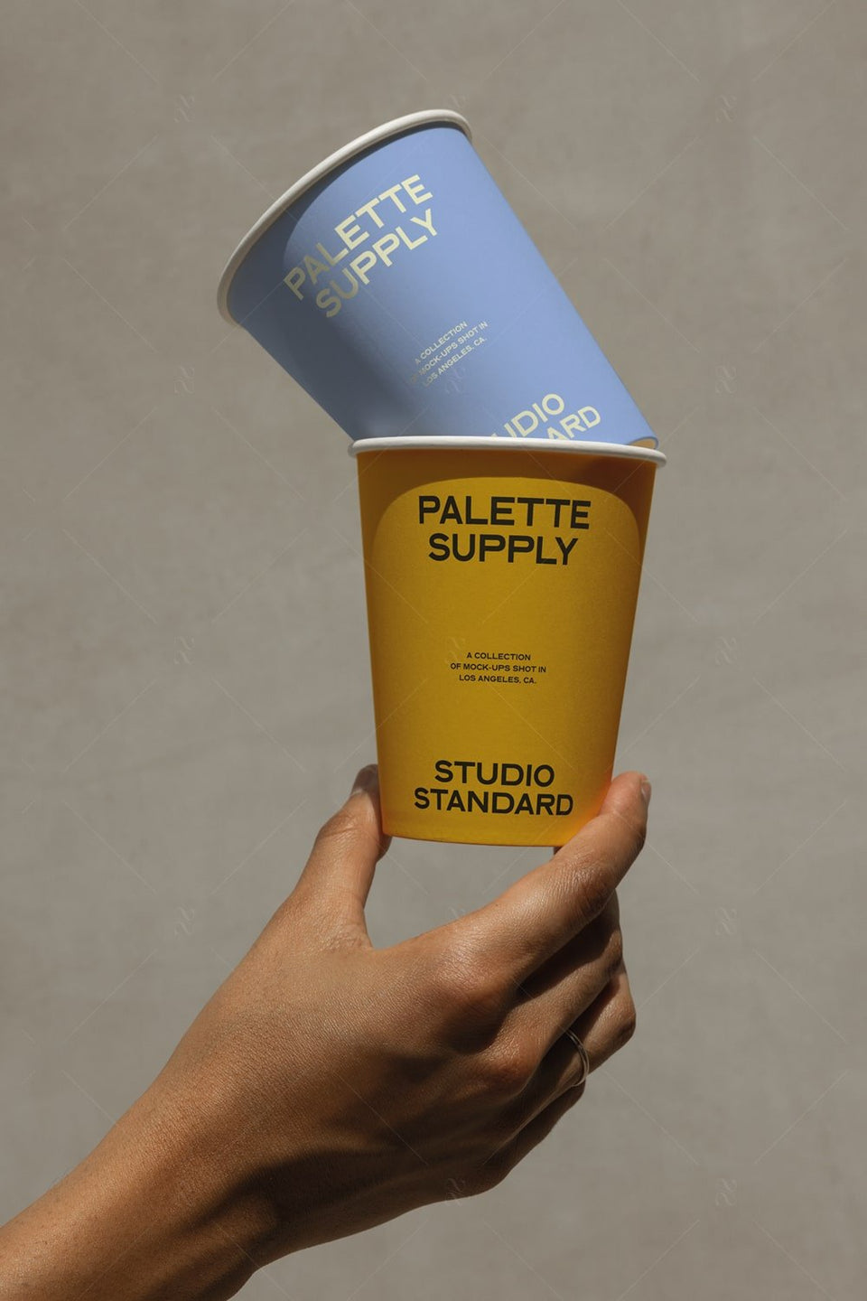 Studio Standard x Palette: Mock-ups for Brand Designers